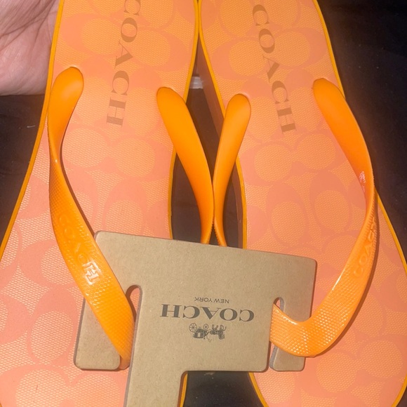 Coach | Shoes | Brand New Coach Summer Slides Size 1 Never Wore | Poshmark